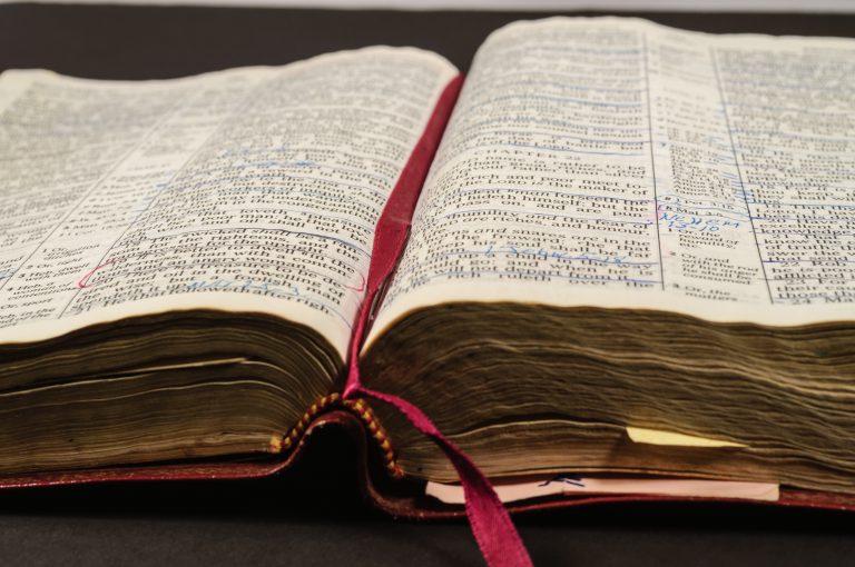 Well Read Open Study Bible - Right Division